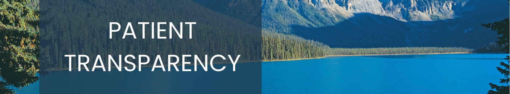 Patient Transparency