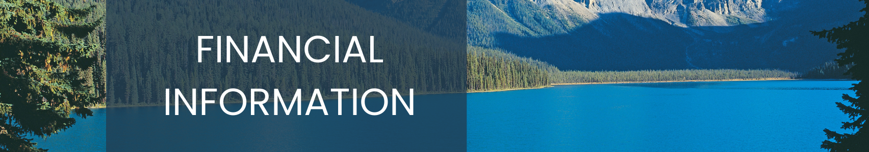 Financial Information