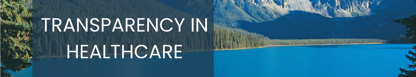 Transparency in Healthcare